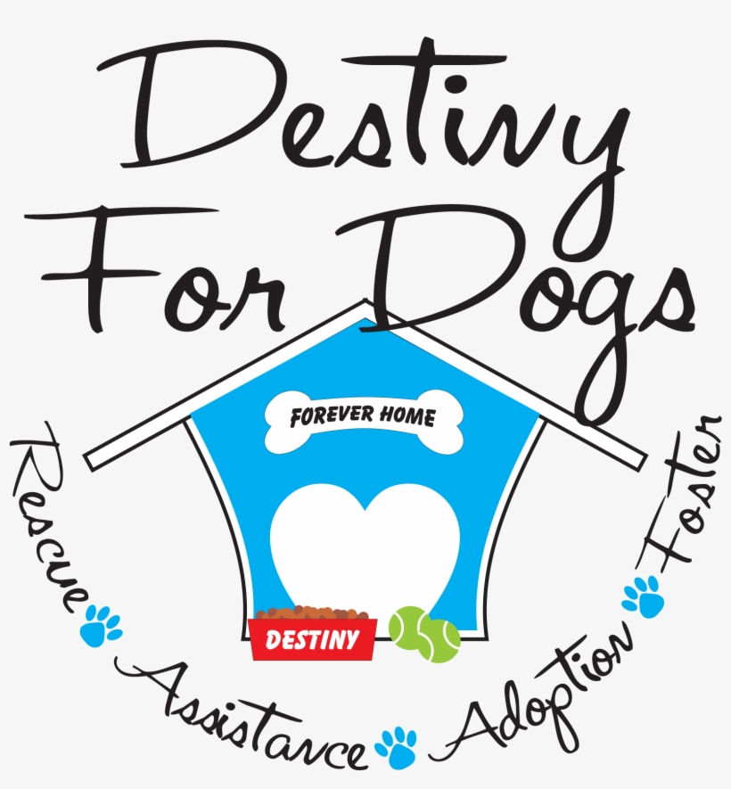 Dog Rescue Transparent PNG - 1581x1623 - Free Download on NicePNG