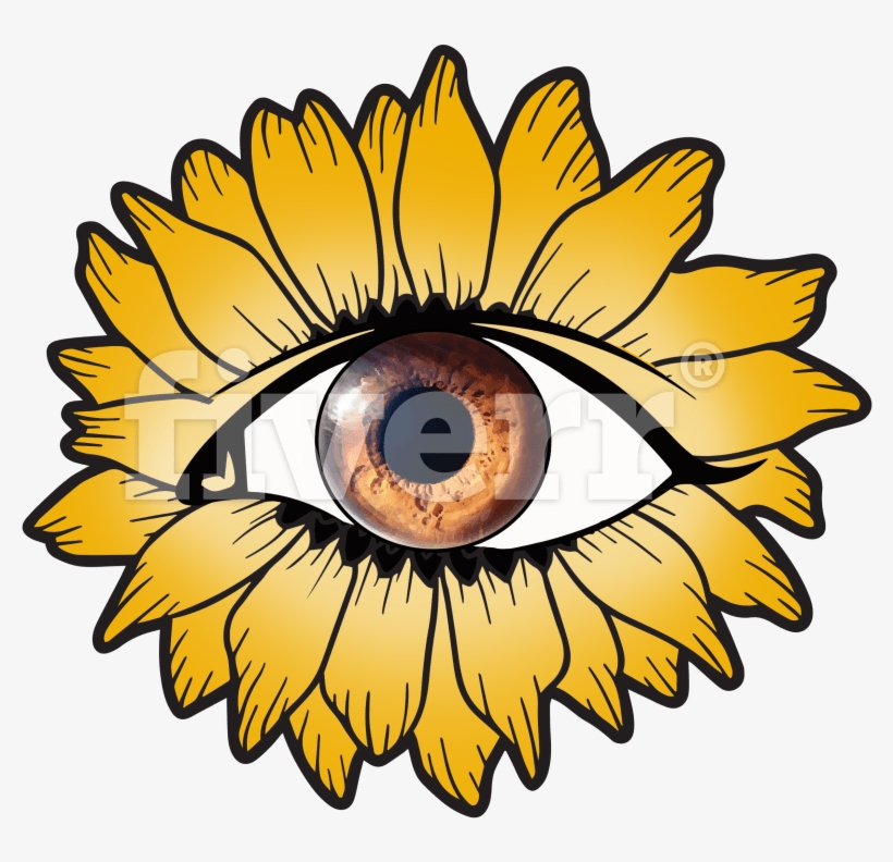 Ha Il-kwon Transparent PNG - 1200x848 - Free Download on NicePNG