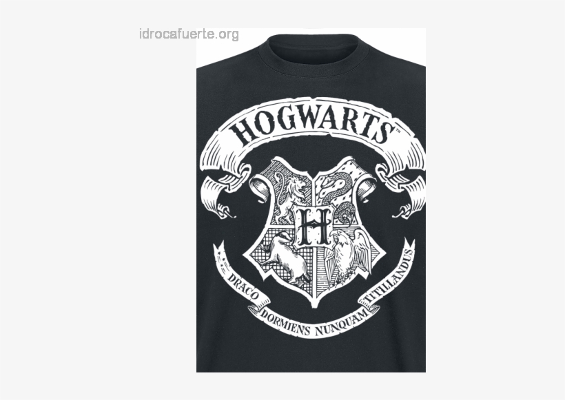 Hogwarts Crest Transparent PNG - 500x500 - Free Download on NicePNG