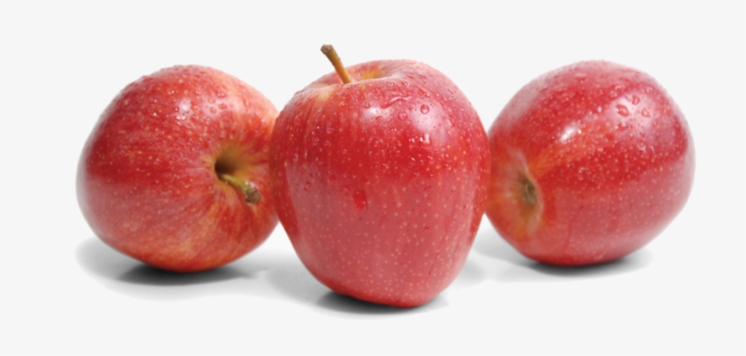 Apples - Apples Transparent Background Transparent PNG - 1000x500 ...