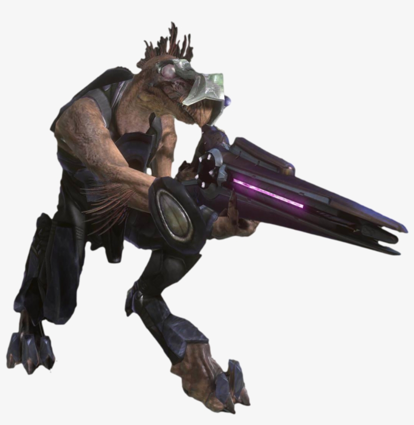 Clip Art Image H Jackal Png Nation Fandom - Jackal Halo Transparent PNG ...