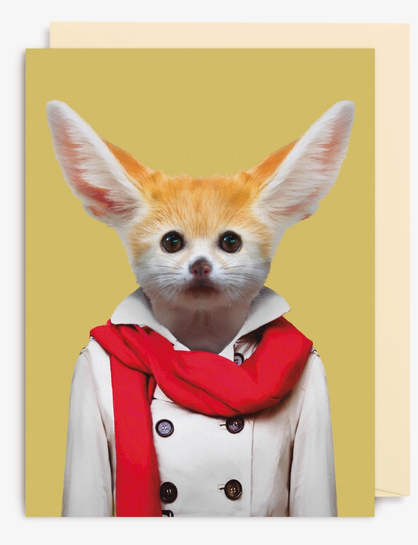 Zoo Portrait Fennec Transparent PNG - 1400x1500 - Free Download on NicePNG
