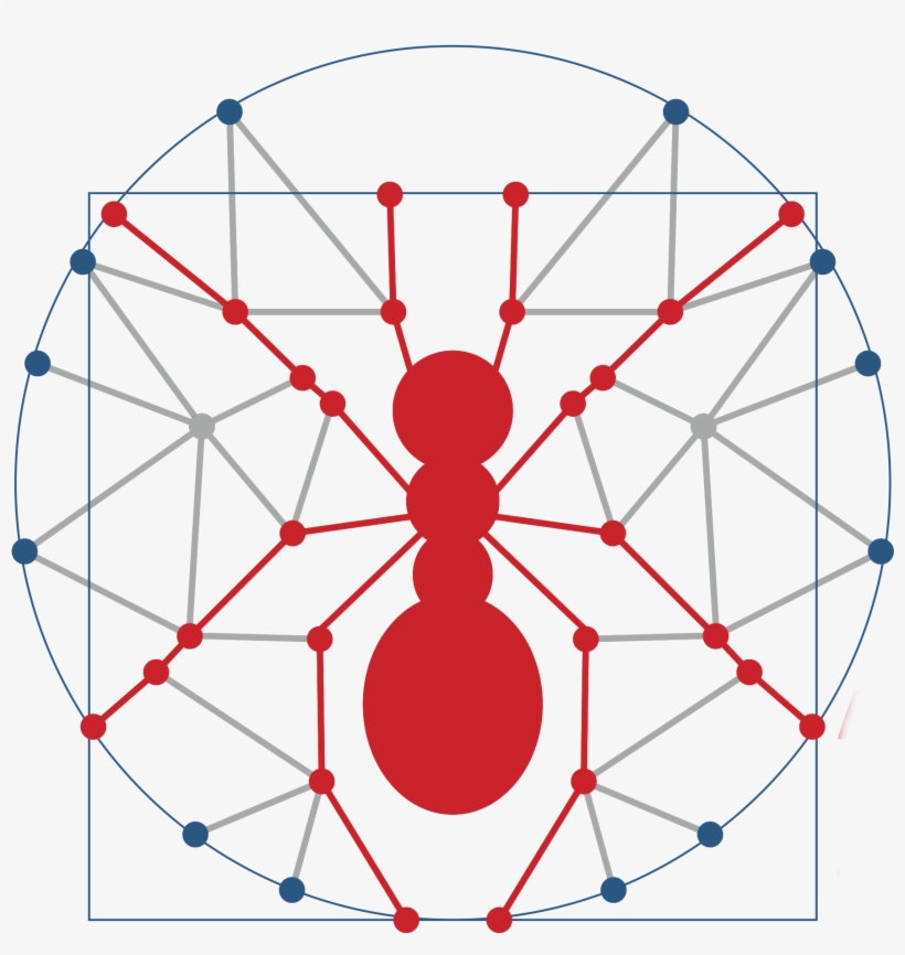 Ant 0 - 0 - - Ant Network Transparent PNG - 1813x1798 - Free Download ...
