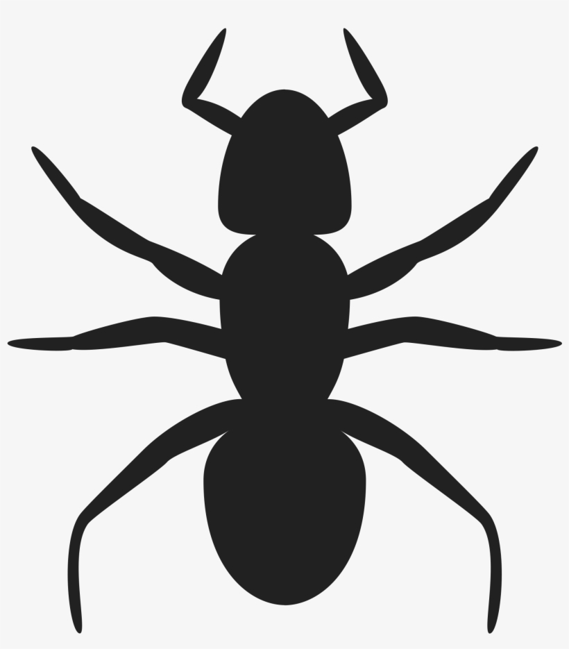 This Free Icons Png Design Of Ant Icon Transparent PNG - 2400x2400 ...