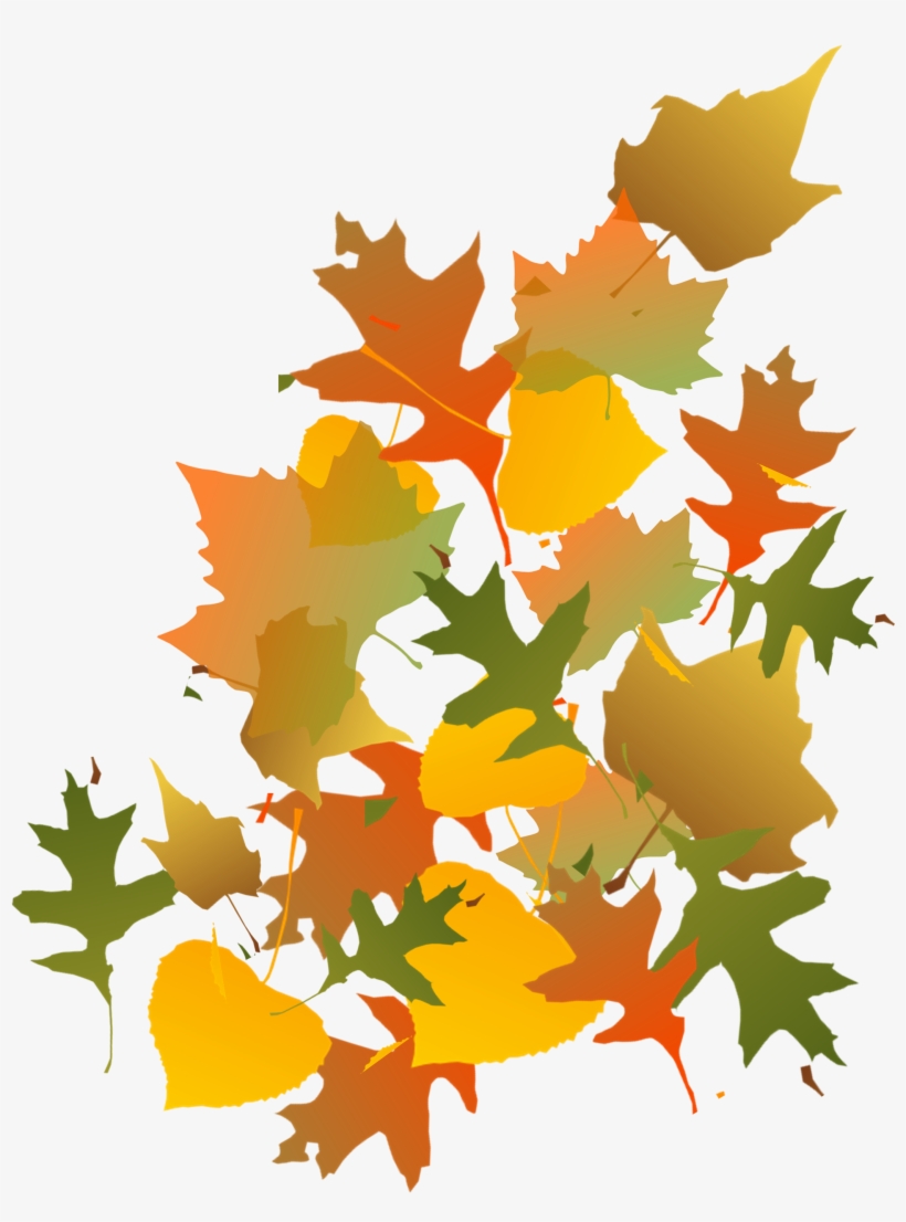 Download Fall Leaves Image - Autumn Leaves Clip Art - HD Transparent ...