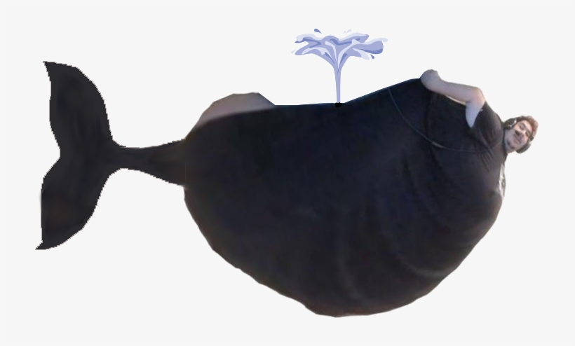 The New Emote Is Here Poggers - Black Poggers Transparent PNG ...