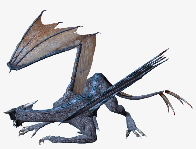 Dragon Png Image - Dragon Transparent PNG - 1024x768 - Free Download on ...