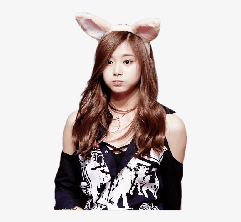 Download - Tzuyu Png Transparent PNG - 500x698 - Free Download on NicePNG