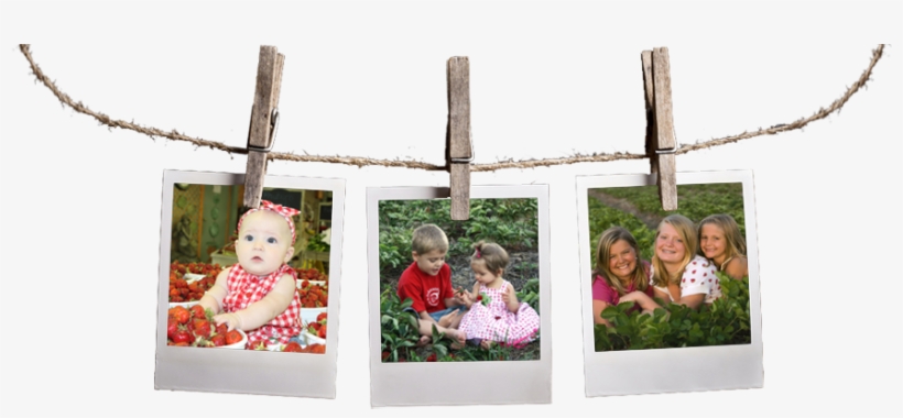 Photo-string - String Png Transparent PNG - 874x363 - Free Download on ...