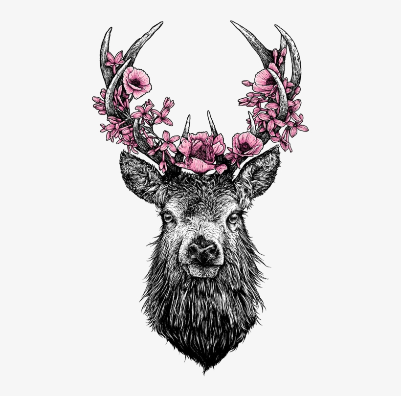 Cider House - Deer Transparent Transparent PNG - 479x750 - Free ...