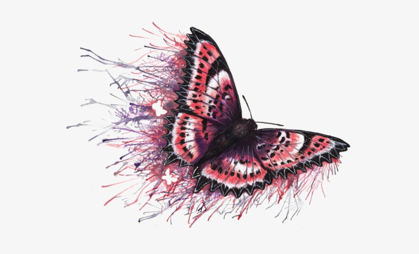 Papillons Card Graphics Pinterest Butterfly Psp And - Paint The Town ...