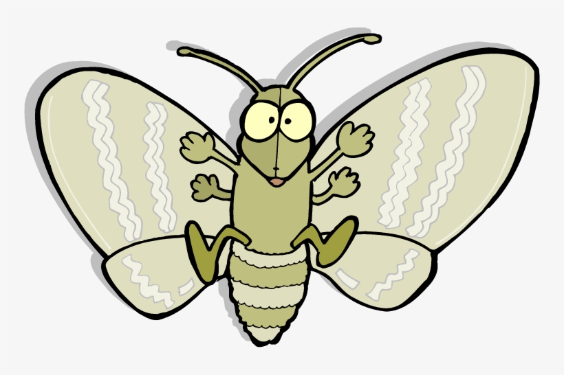 Moth Png Picture - Cartoon Moth Transparent PNG - 750x466 - Free ...