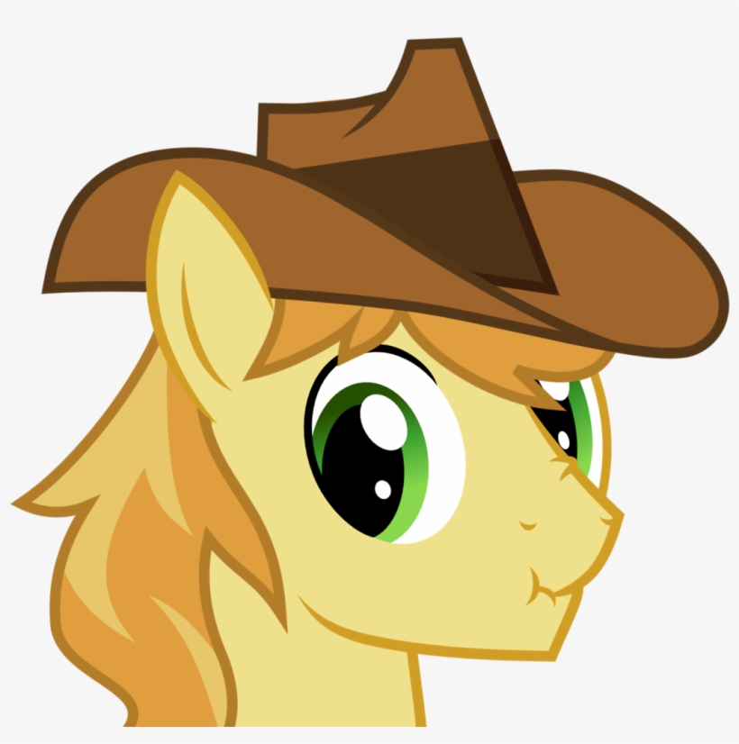 Braeburn Mlp Vector
