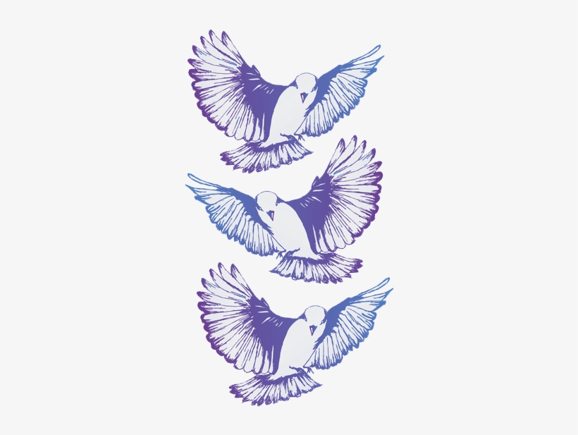 Birds Bird Transparent Transparent Birds Transparent - Transparents ...