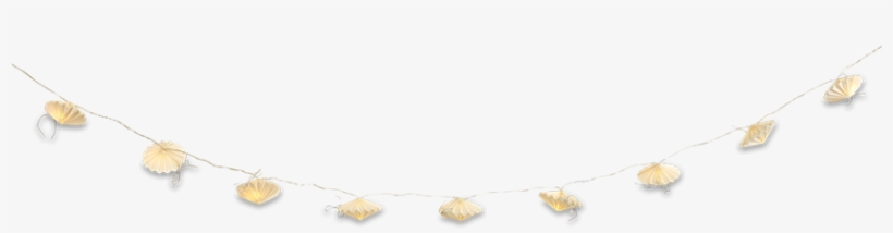 Pearl - Chain Transparent PNG - 844x610 - Free Download on NicePNG