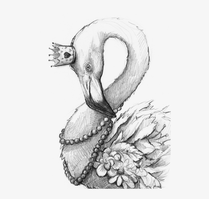 Flamingo Black And White