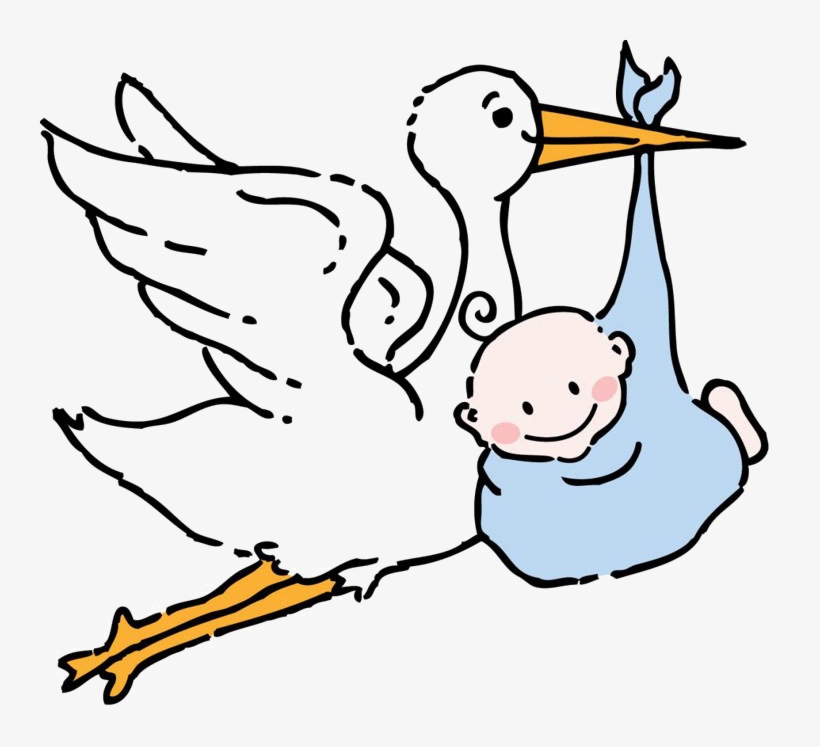 Stork Free Png Image - Stork Baby Transparent PNG - 740x667 - Free ...