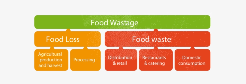 Food Wastage Definition - Food Waste Vs Food Loss Transparent PNG ...