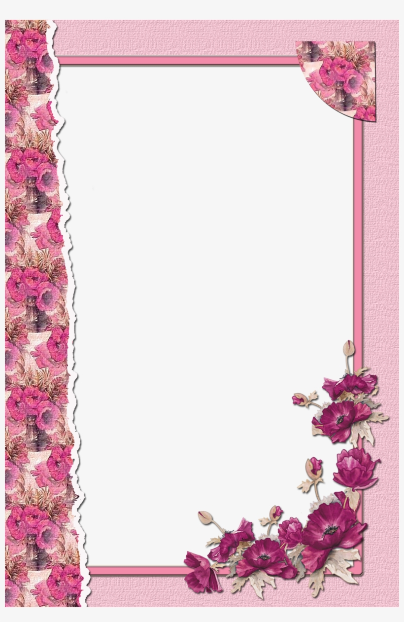 Transparent Flower Pink Frame - Red Flower Photo Frame Png Transparent ...