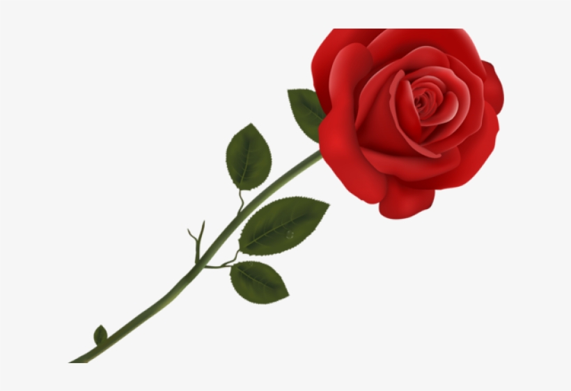 Red Rose Clipart Double - Transparent Background Rose Clipart ...