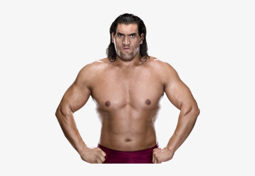 Royal Rumble 2011 Poster Transparent PNG - 480x489 - Free Download on ...