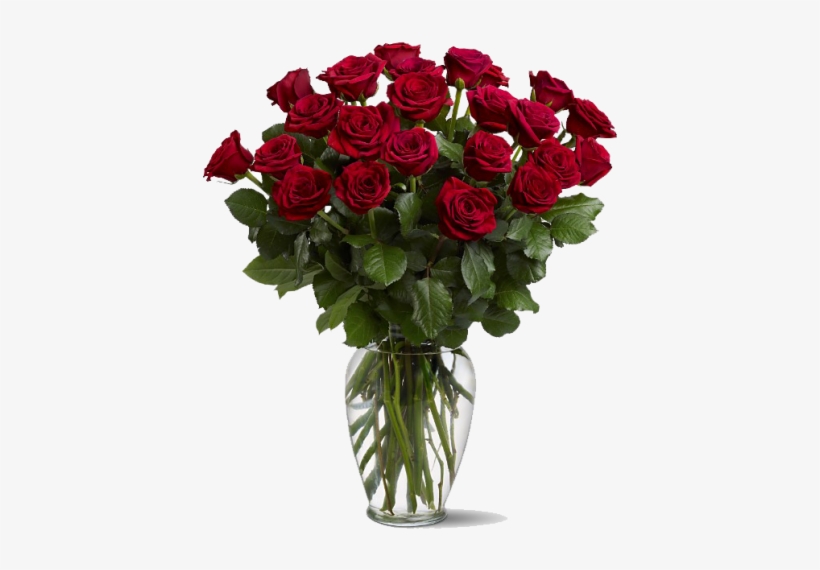 Roses Transparent PNG - 500x500 - Free Download on NicePNG