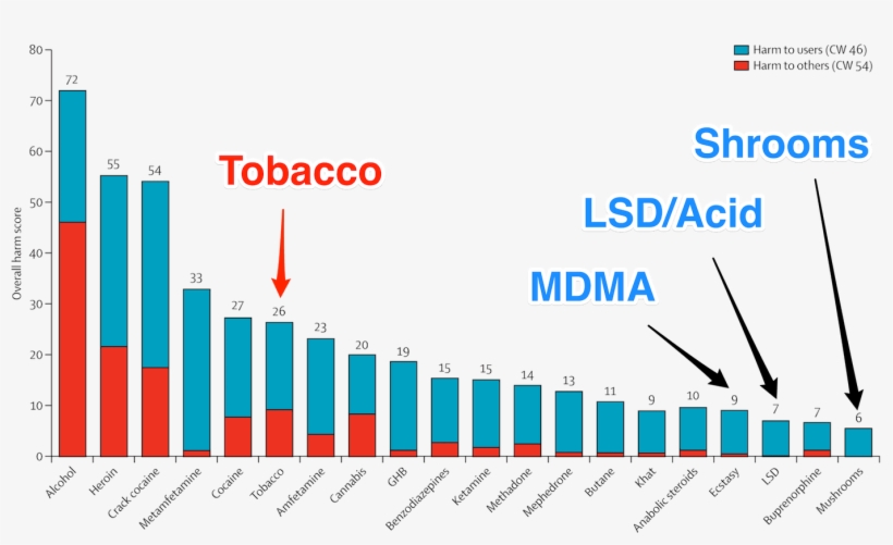 Relative Side Effects Of Lsd And Shrooms - Shrooms Side Effects ...