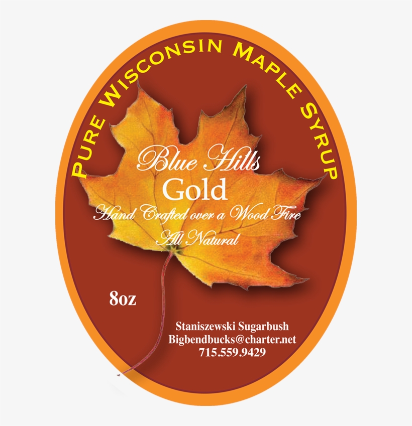 Wisconsin Transparent PNG - 600x769 - Free Download on NicePNG