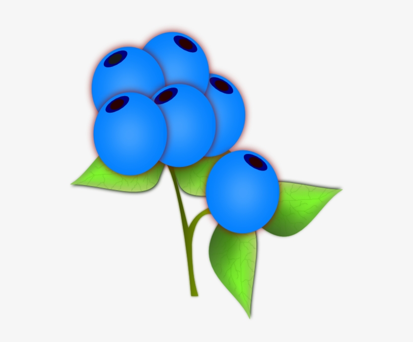 How To Set Use Blueberries Svg Vector Transparent PNG - 552x600 - Free ...