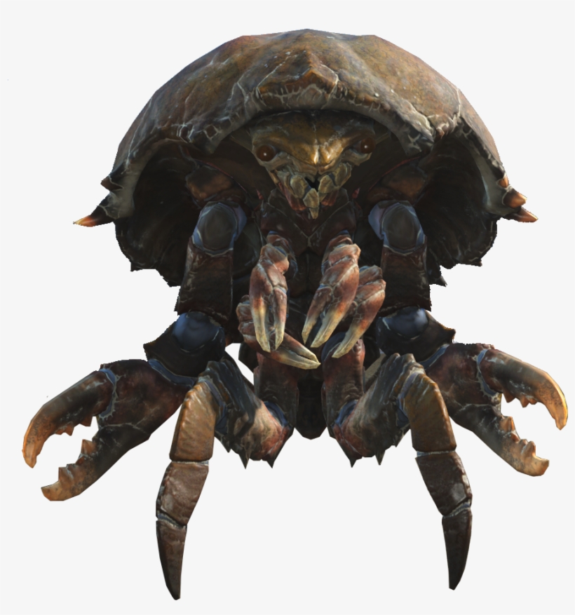 Flying Ant Swarm - Fallout 4 Animal Transparent PNG - 930x987 - Free ...