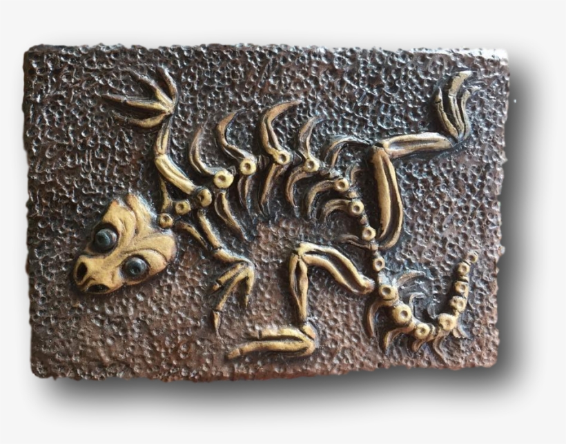 Lizza Dora Lizard Fossil By Mike Quinn Transparent PNG - 991x991 - Free ...