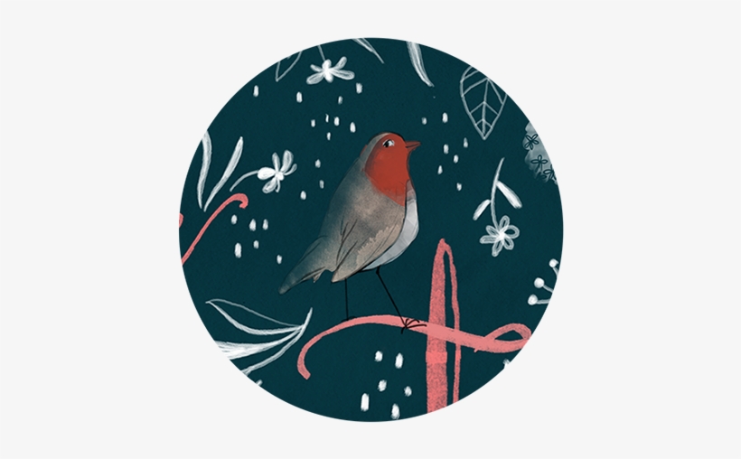 Thank You - European Robin Transparent PNG - 467x449 - Free Download on ...