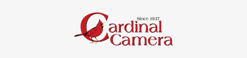 Cardinal Camera - Cardinal Camera Logo Transparent PNG - 400x400 - Free ...