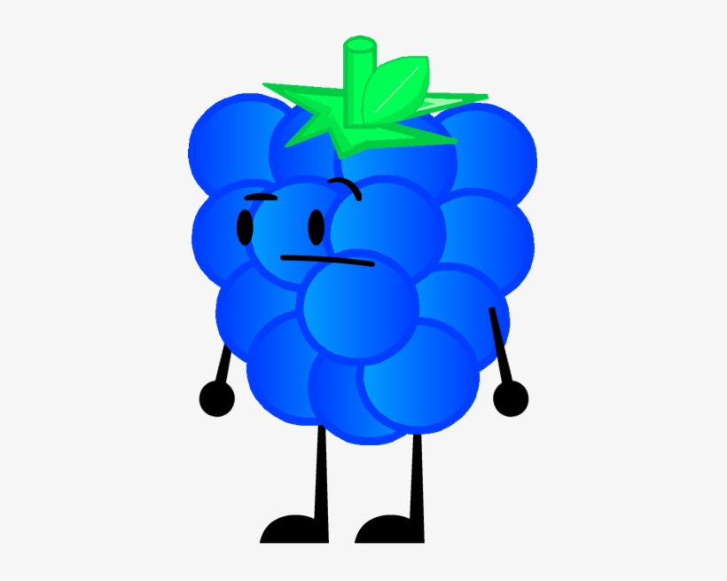 4, Blue Raspberry Transparent PNG - 395x575 - Free Download on NicePNG