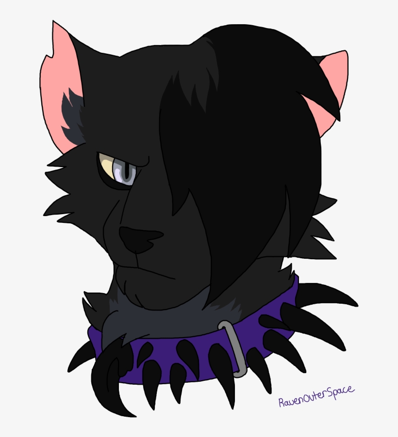 Bring Back Cat Bangs - Cat With Bangs Transparent PNG - 770x850 - Free ...