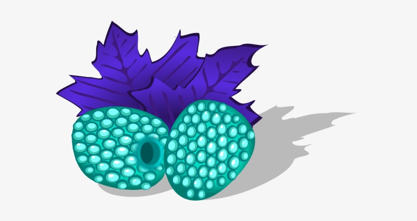 Raspberry Vector Clip Art - Blue Raspberry Clip Art Transparent PNG ...
