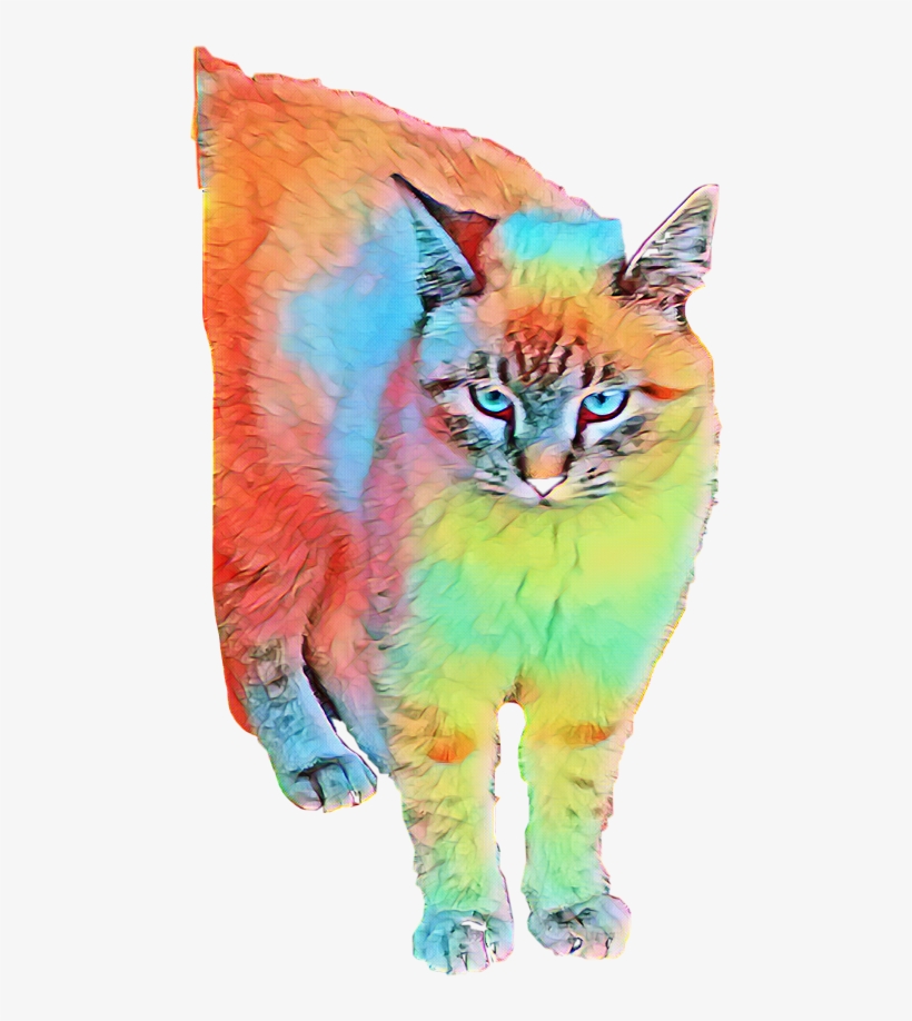 Whiskers Transparent PNG - 480x838 - Free Download on NicePNG