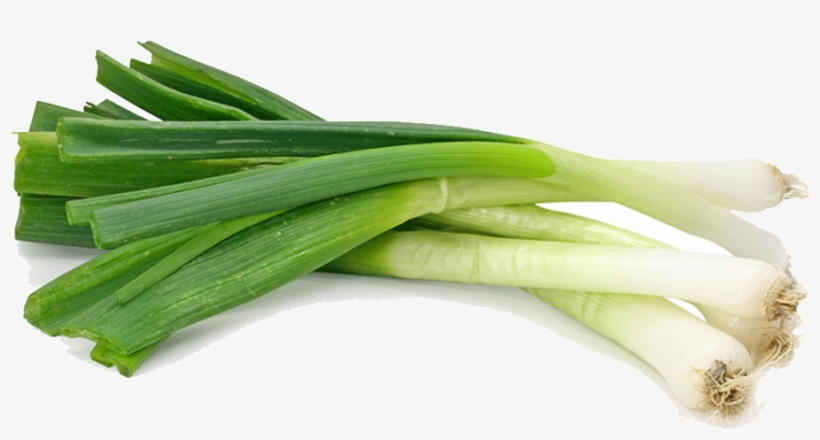 Green Onions Png - Spring Onions Transparent PNG - 1110x612 - Free ...