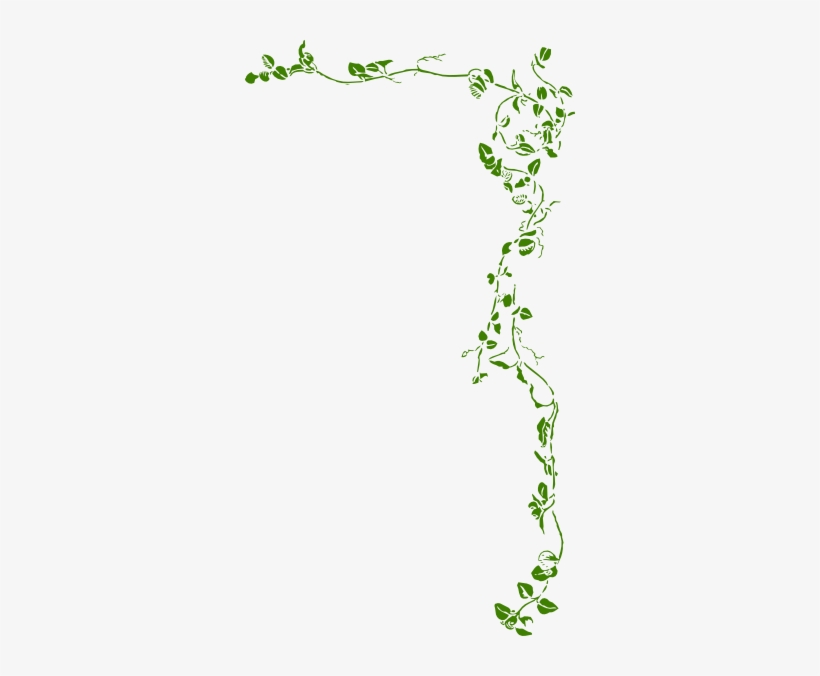 How To Set Use Green Floral Border Clipart Transparent PNG - 330x596 ...
