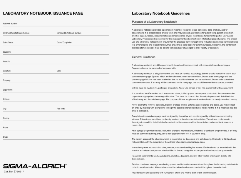 Download Printable Lab Notebook Paper Main Image - Document - HD ...