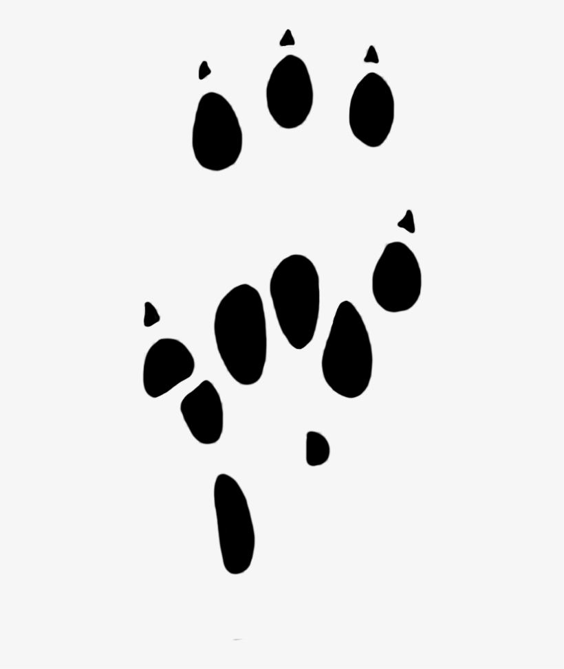 Paw Prints Clipart Rat Paw 25 Mm - Rat Paw Print Png Transparent PNG ...