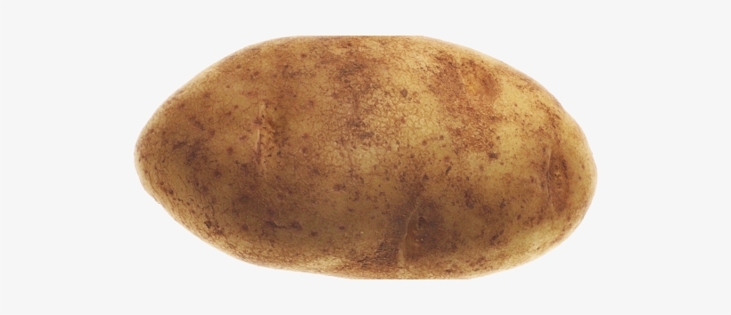 How To Charge A Phone Using Potato - Potato Messages ( Happy ...