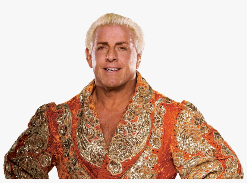 Ric Flair Won The Wwe Title During The 1992 Royal Rumble - Ric Flair ...