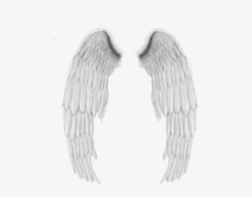 Ali Angelo Png - Asas De Anjo Png Transparent PNG - 500x561 - Free ...