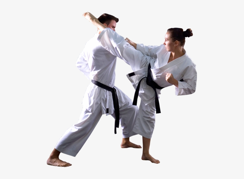 Adult Karate - Karate Fight Png Transparent PNG - 505x523 - Free ...