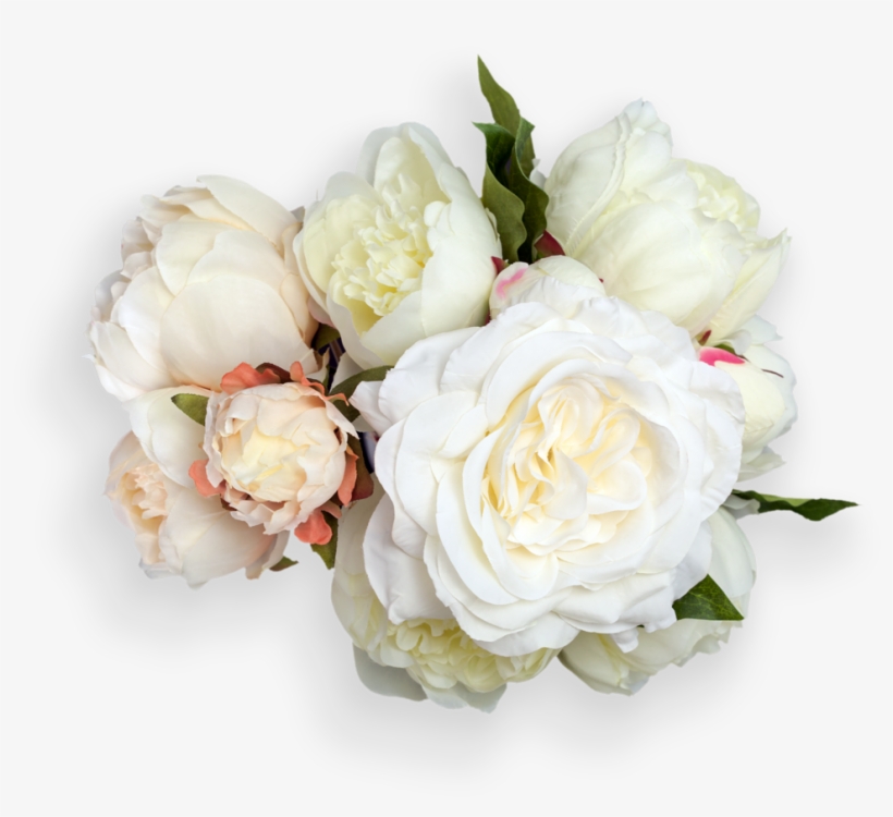 Pixels Display, Peony, Danielle Conley For Mobile - Peony Blooms Font ...