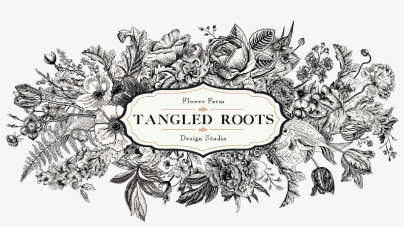 Tangle Roots Logo Vnewtextfinalblacklines Forweb Transparent PNG ...