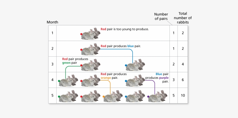 Data Structure Transparent PNG - 500x326 - Free Download on NicePNG