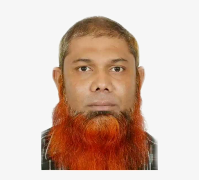 Kazoo Transparent PNG - 480x665 - Free Download on NicePNG