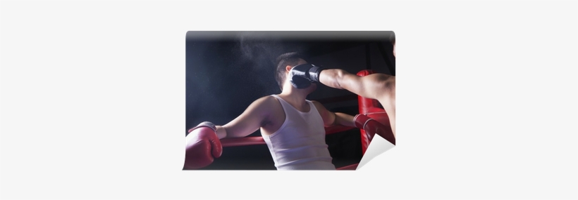 Over The Shoulder View Of Male Boxer Throwing A Knockout - Over The ...